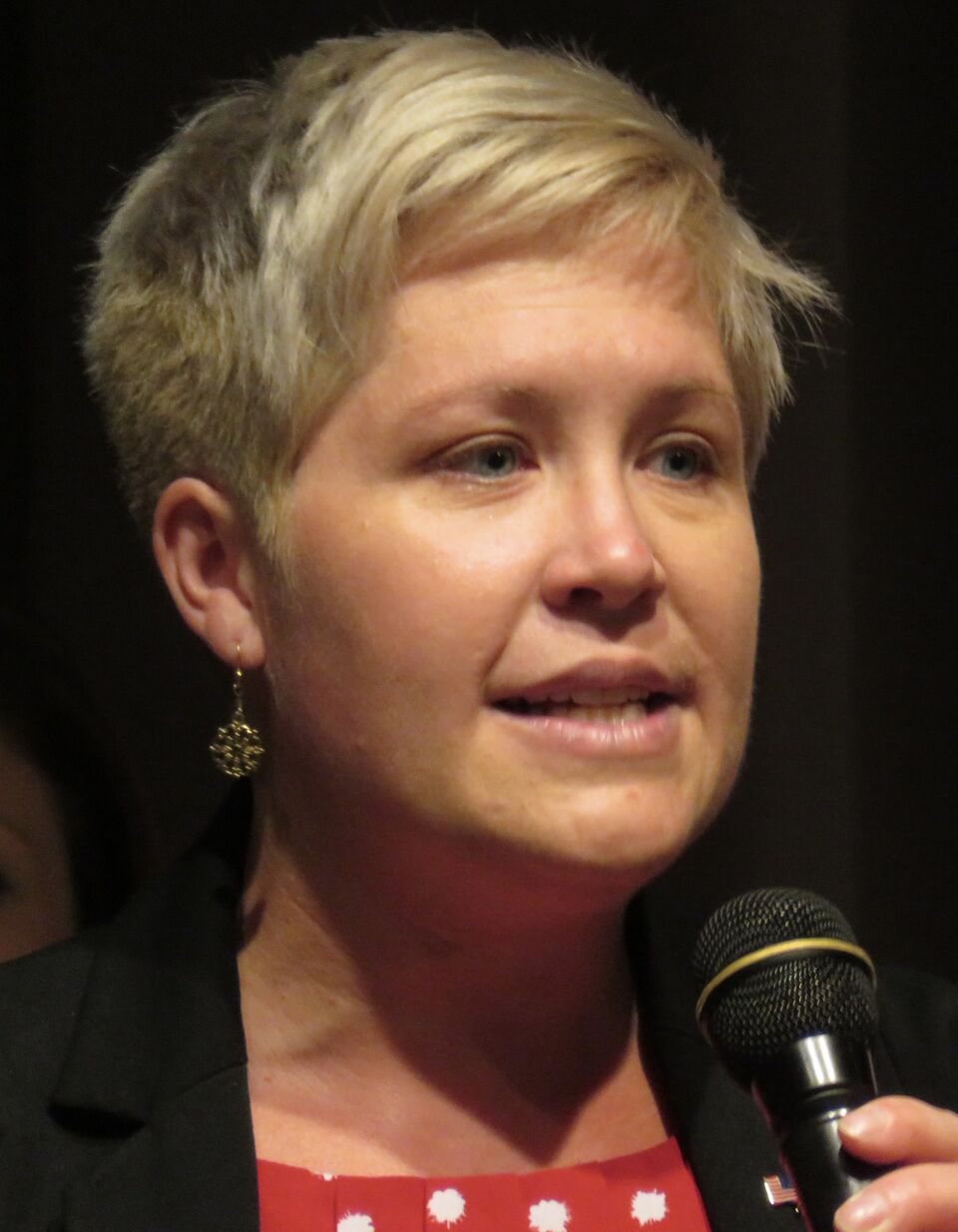 Video: Virginia Women’s Summit Candidate Forum — Flip Virginia Blue ...