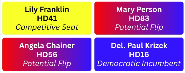 Flip and Defend-a-District 2025 (Volume 4): Lily Franklin, Mary Person ...